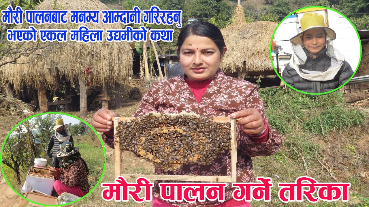 मौरी पालनबाट लाखौ आम्दानी | Mauri Palan In Nepal | Bee Farming - YouTube