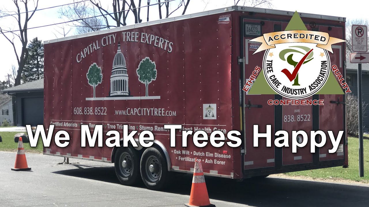 Capital City Tree Experts: Safety First - YouTube