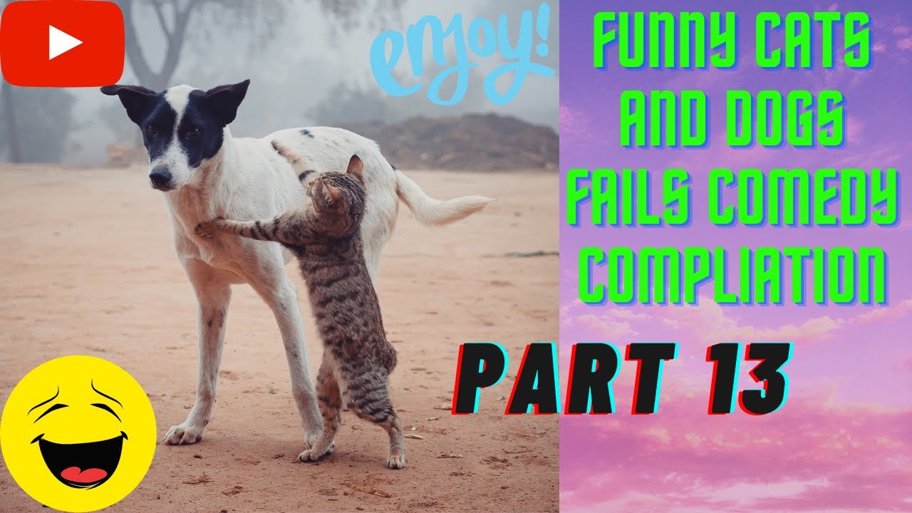 Funny Cats And Dogs FAILS COMEDY videos Compilation.Part 13 - YouTube