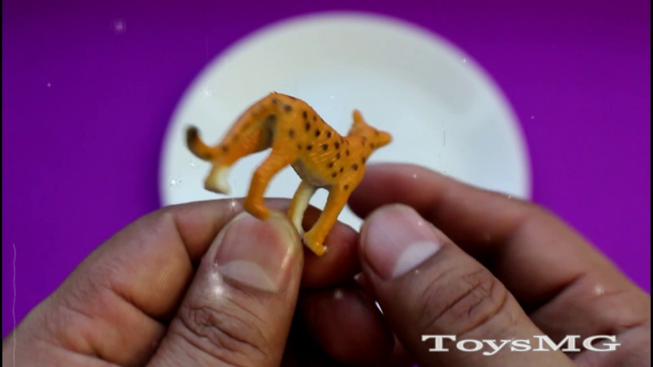7 EGG SURPRISE ANIMALS TOYS MINI ANIMALS COLORS TOYSMG - YouTube
