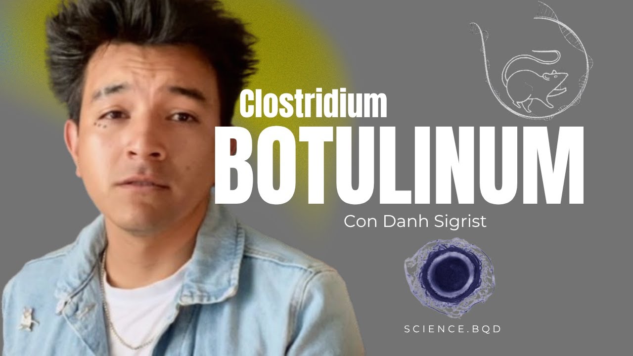 Clostridium botulinum: La Neurotoxina Botulínica (Botox & Floppy Baby ...