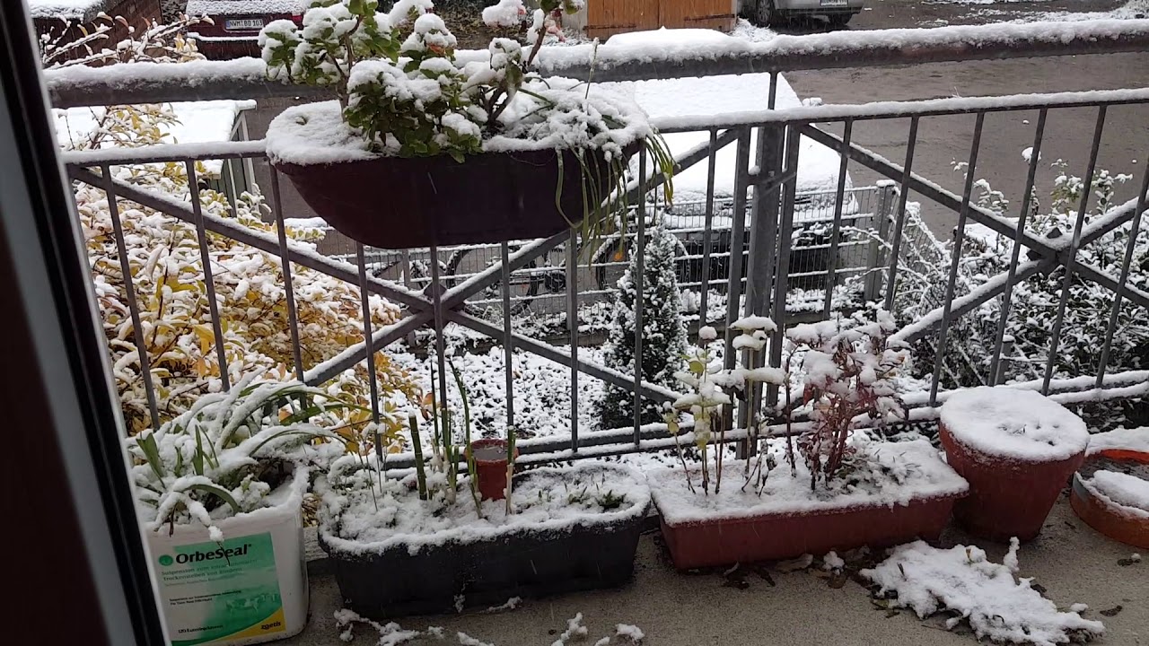 Snow was coming in the house - YouTube