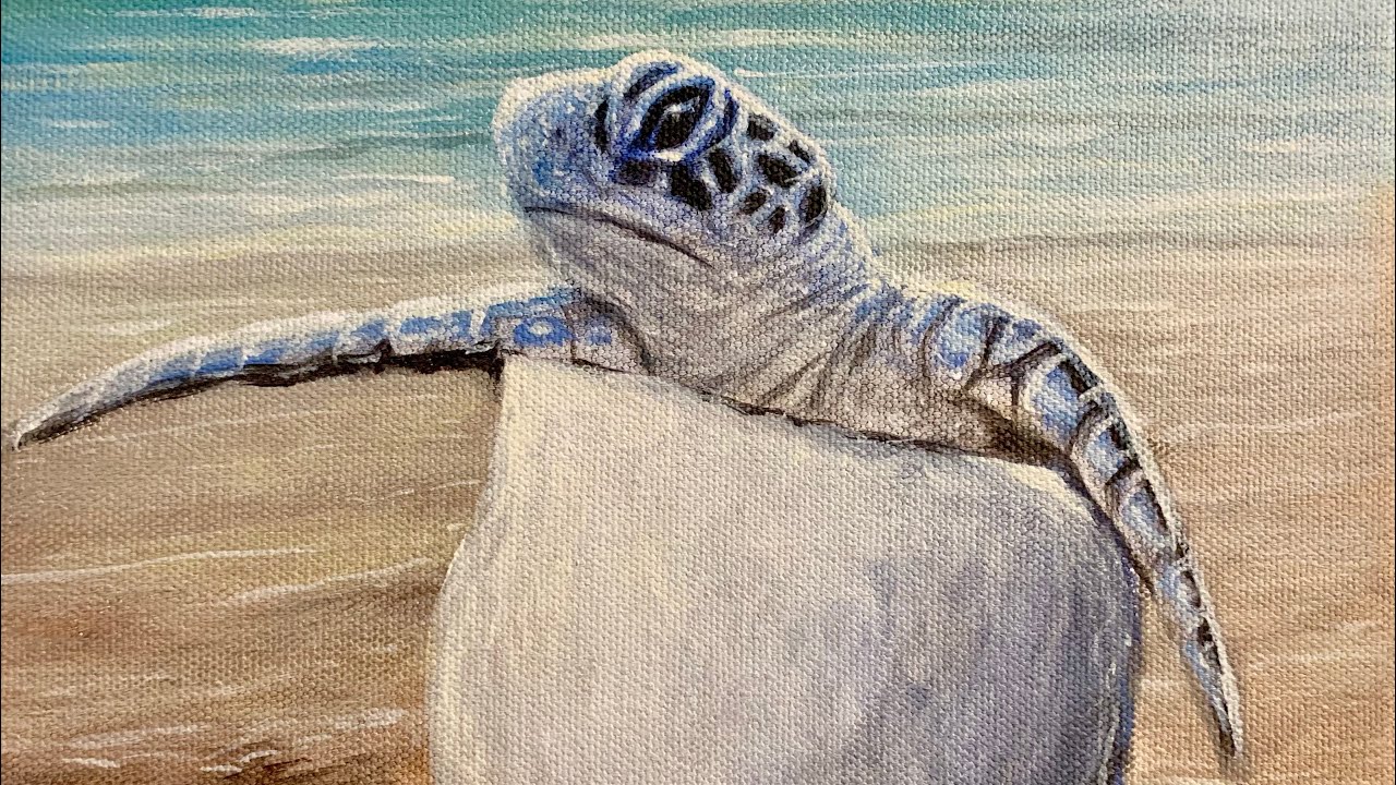 Acrylic Painting | How To Paint A Baby Sea Turtle | Tutorial - YouTube