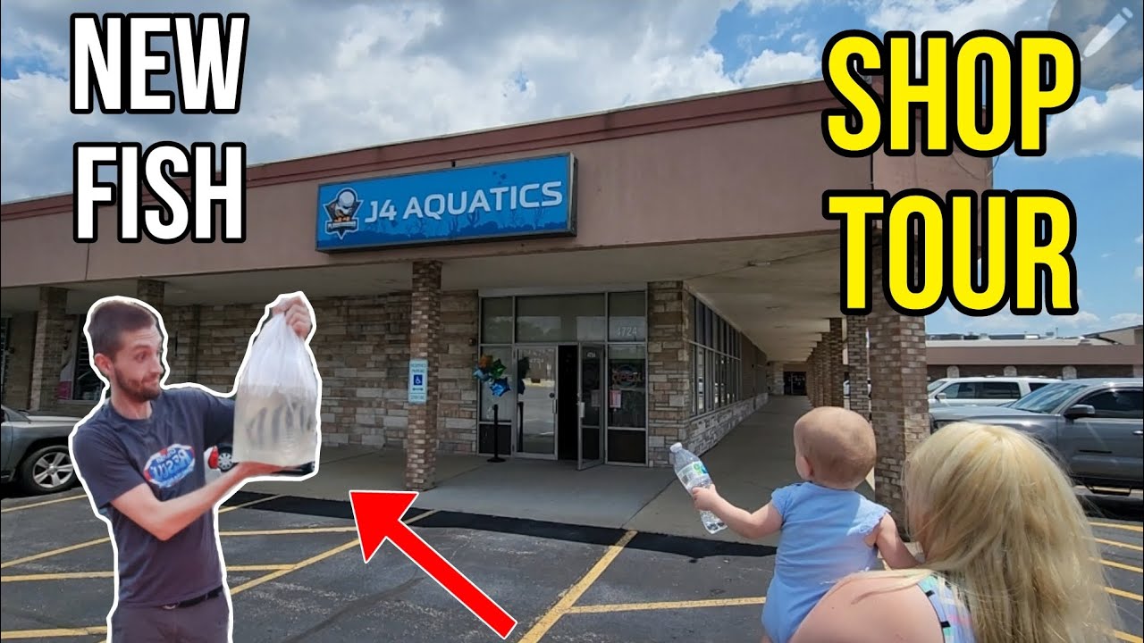 Epic Fish Store in Chicago! We got a New Fish - YouTube