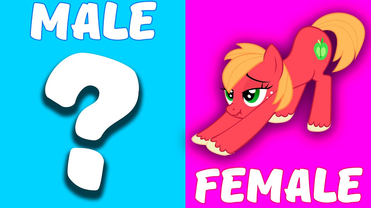 Gender Swap Edit Animation - MY LITTLE PONY Characters | My Little Pony ...