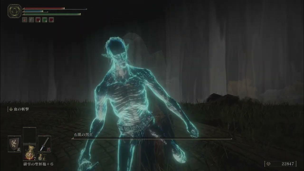 ELDEN RING_石肌の黒王_LV66 - YouTube