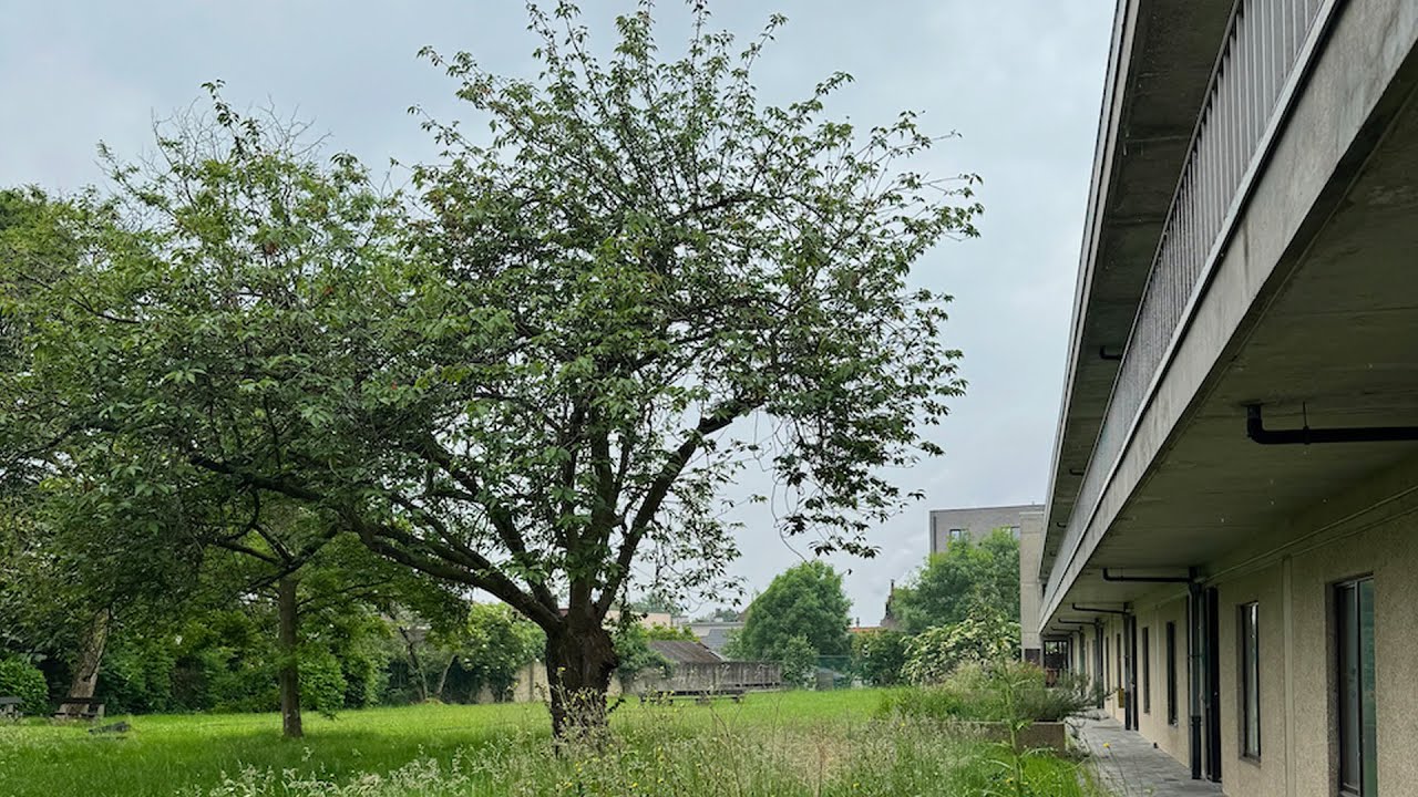 ARCHI URBAIN (19/17) : Ransbeek - YouTube