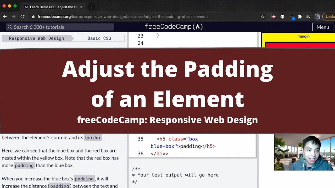 Adjust The Padding Of An Element Basic Css Freecodecamp Tutorial 2390