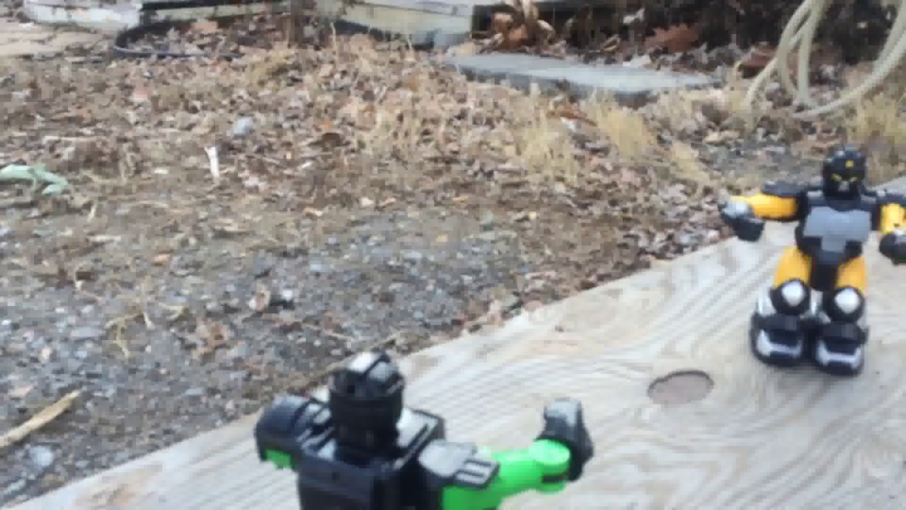 Bot fight - YouTube