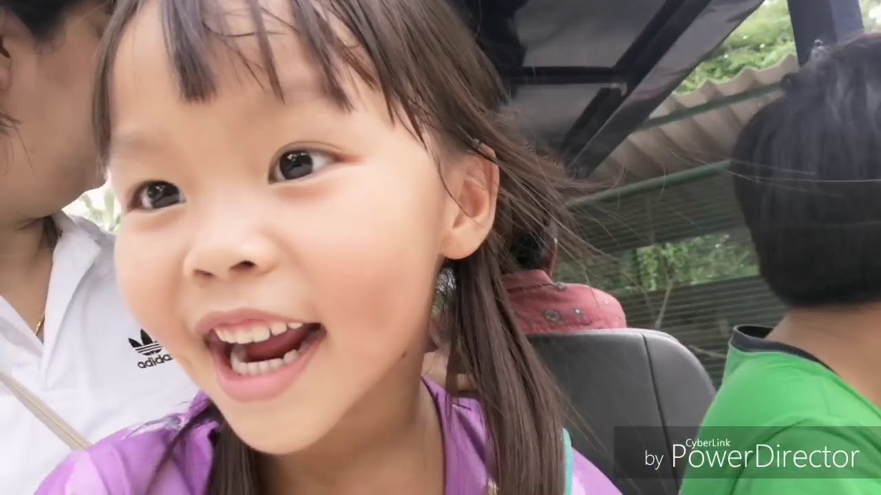 Mark Max Mook.พาเที่ยวสวนปาล์มฟาร์ม นก - YouTube