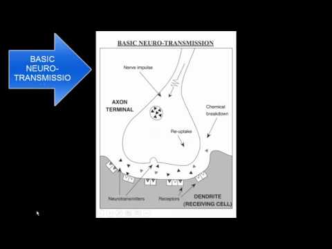 NAMI Class 6 Medication Video - YouTube
