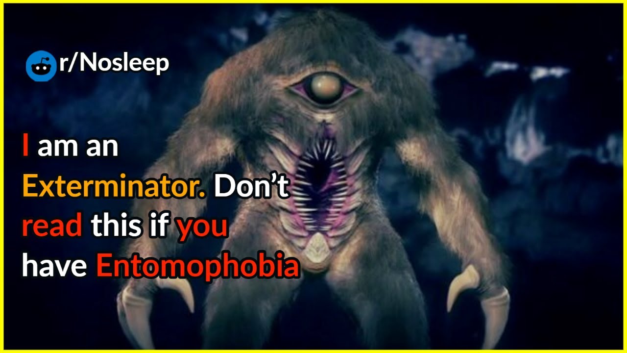 I am an Exterminator. Don't read this if you have Entomophobia ...