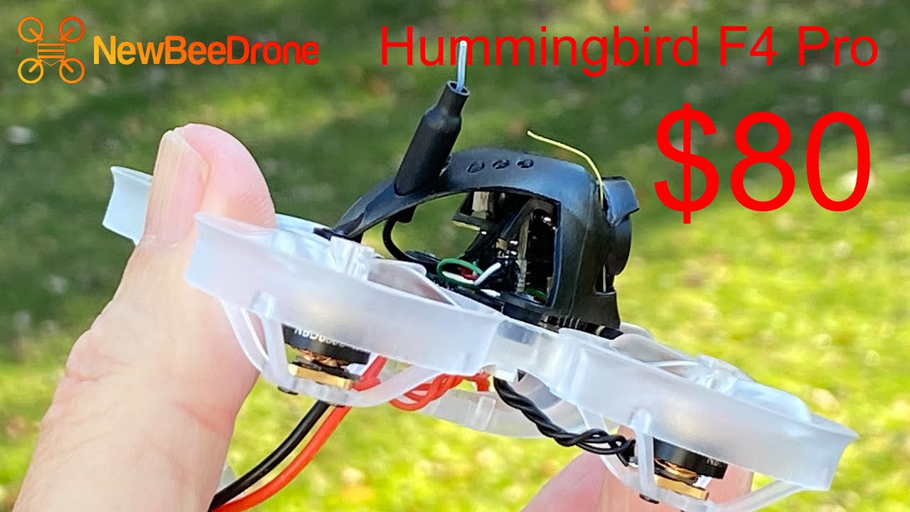 NBD Hummingbird Review - Thrust, Range and Speed Testing - YouTube