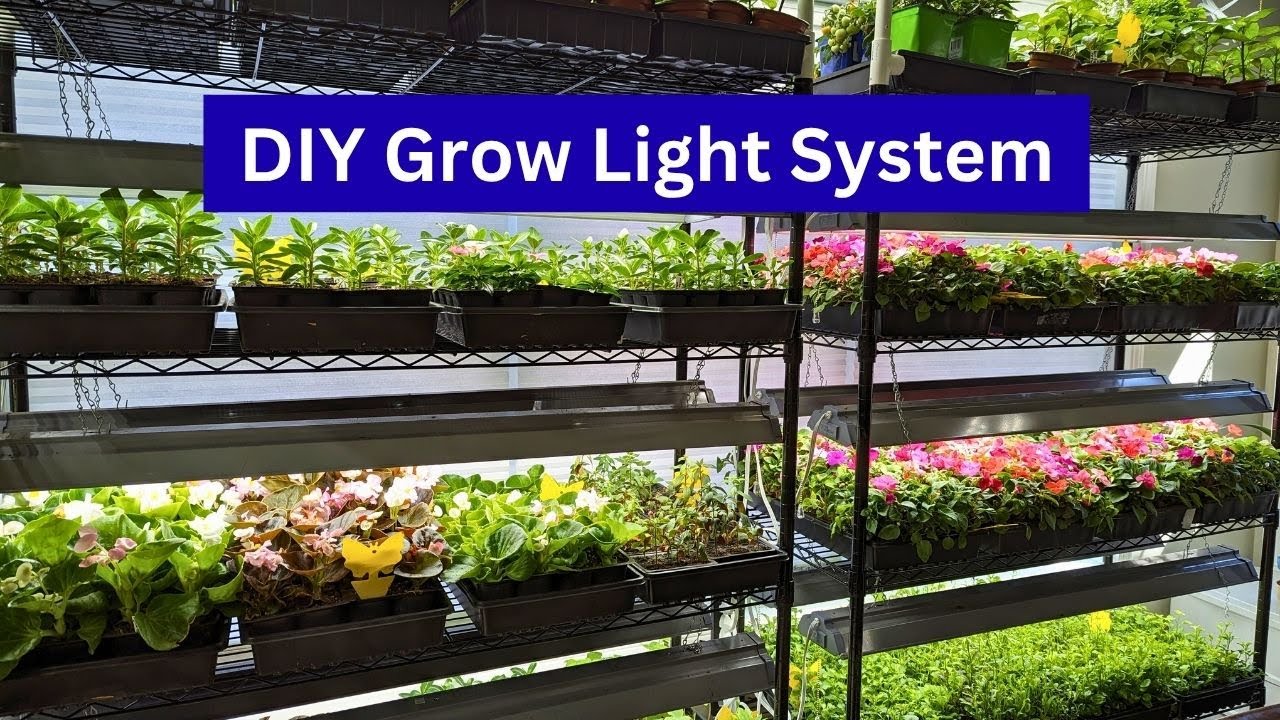 Start Hundreds of Seeds! DIY Grow Lights For Seed Starting | Indoor ...