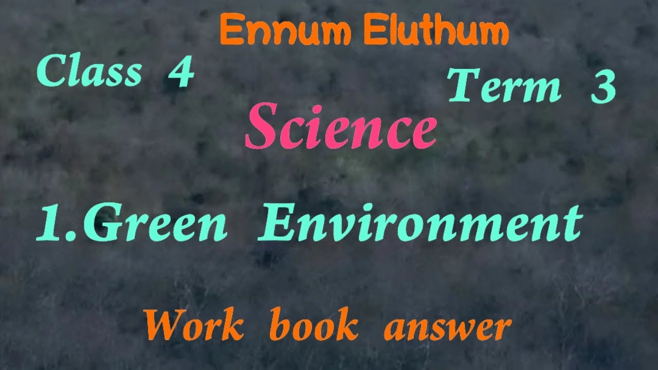 EE|Term 3|Class 4|Science| Chapter 1|Green Environment |Workbook answers - YouTube