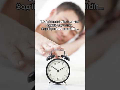 Budulnik... #music #beats #chill #artist #xamza #love #топ #islom #shorts #short