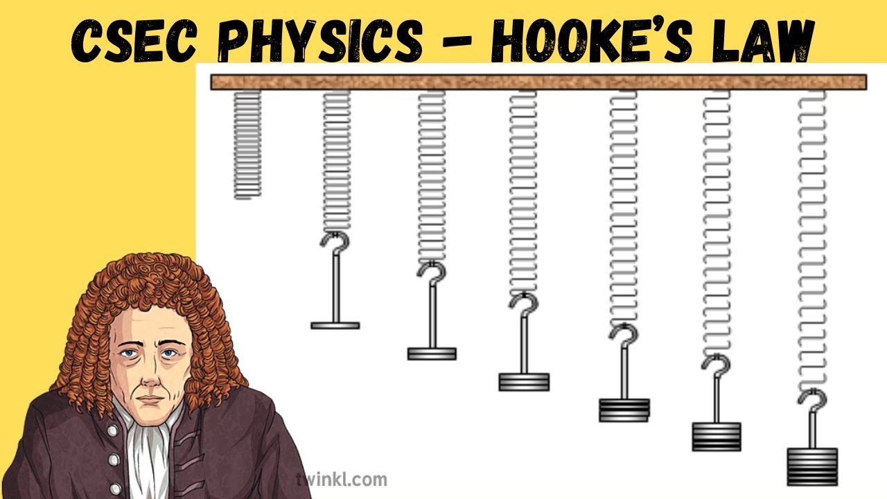 Extension of a Spring | CSEC Physics - YouTube