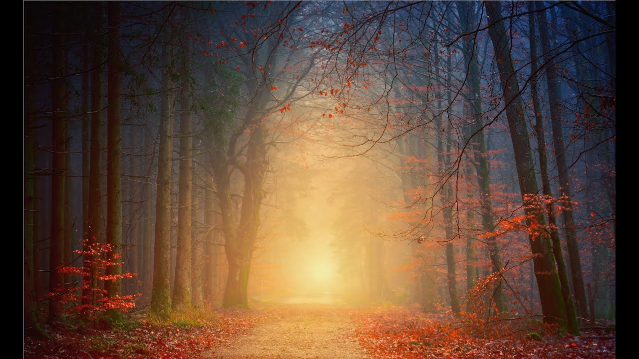 RELAX - Ambiente Musik - YouTube