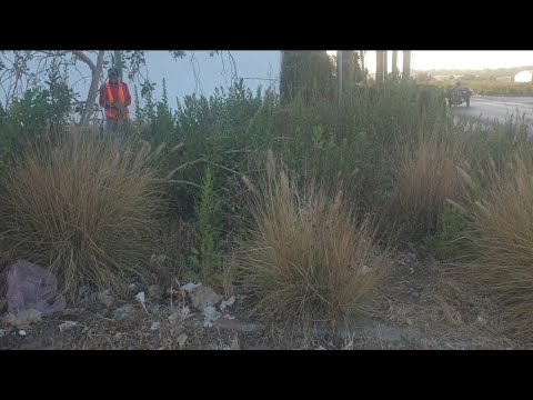 Overgrown Sidewalk UNCOVERED After 12 Years Of NEGLECT - YouTube