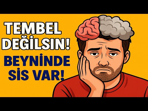 Tembel Değil, Beyin Sisi Yaşıyor Olabilirsiniz! Bilimsel Yaklaşımlar