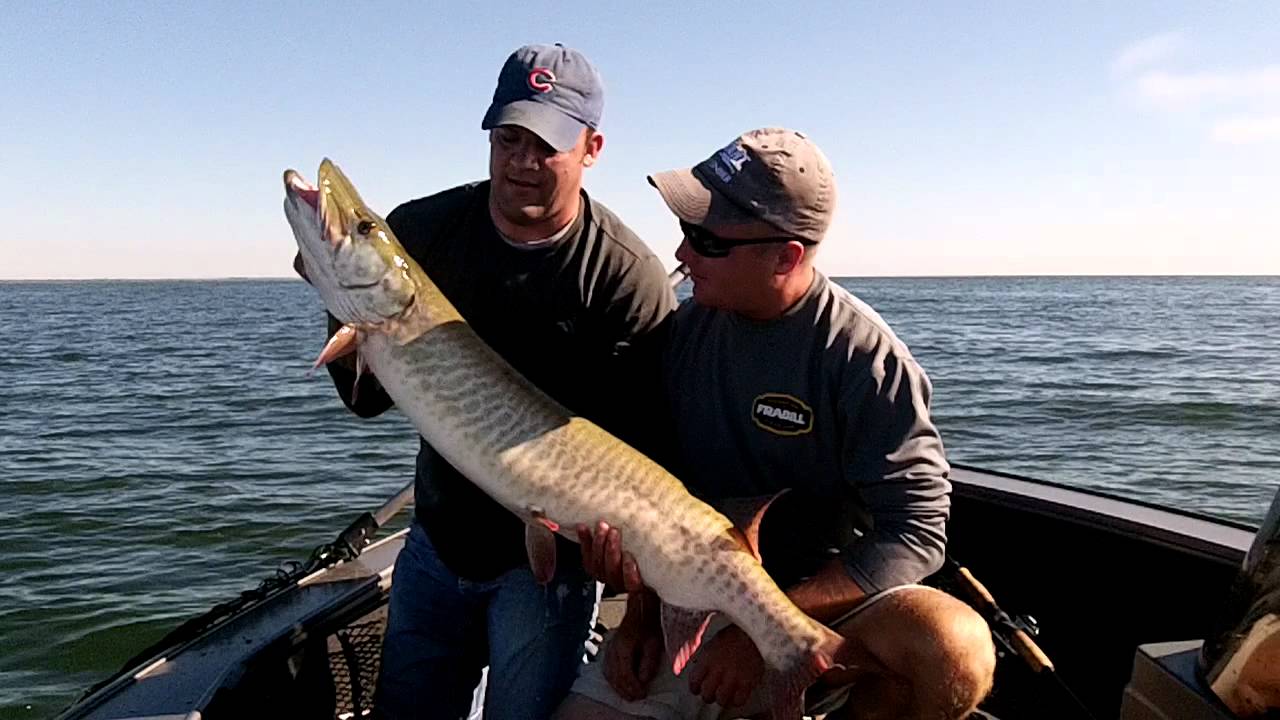 Casting Green Bay Musky with guide Captain Brett Jolly - YouTube