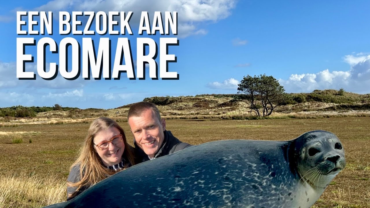 Een bezoek aan Natuurmuseum & Zeehondenopvang Ecomare op Texel - YouTube