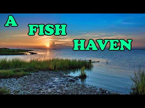 The MOST Fish I EVER Caught from a BOAT !! | Fishing TRINITY Bay Water ...