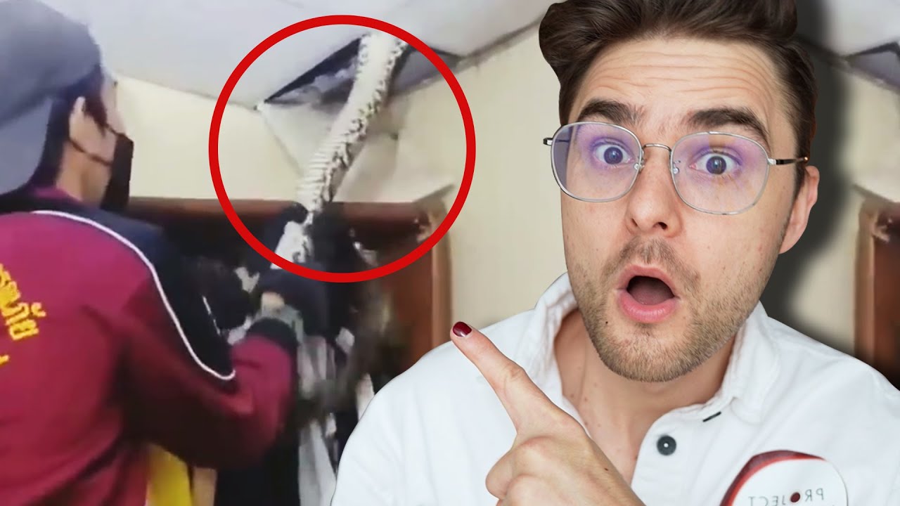 Most Shocking Things Found Inside Walls - YouTube