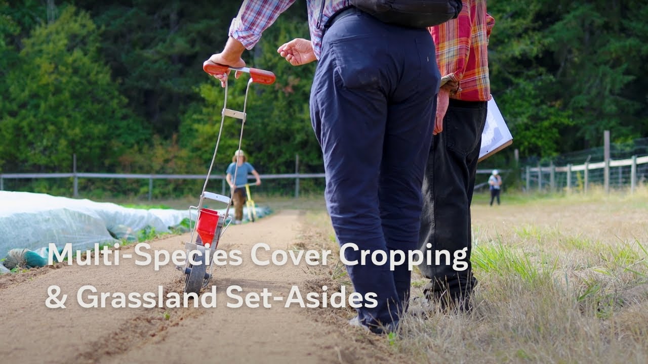 Maximizing Soil Health: Multi-Species Cover Cropping & Grassland Set ...