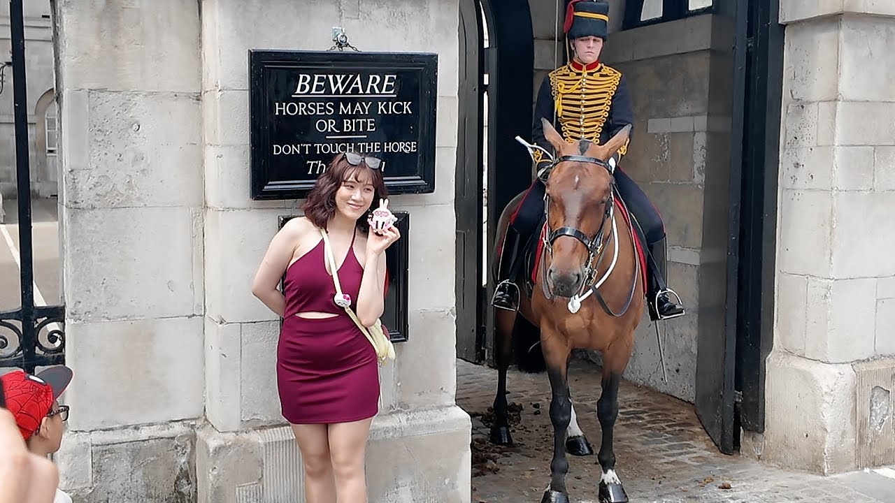 Labubu’s Royal Adventure: Picture Day with the King’s Horse.! - YouTube