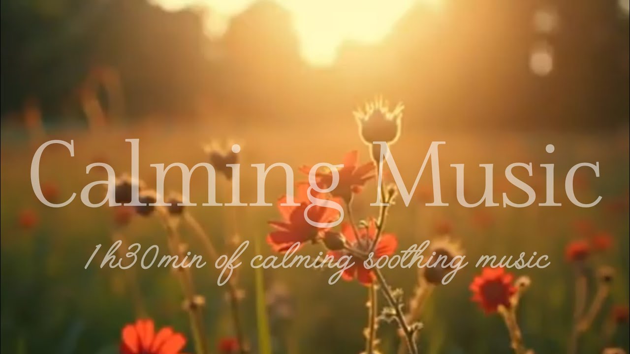 1:30hrs of calming music for stress relief - YouTube