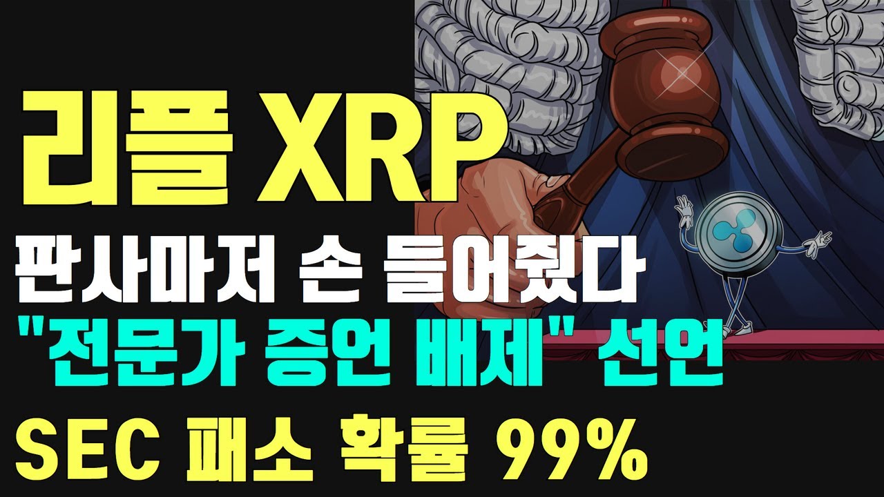 리플 Xrp 판사마저 손 들어줬다 전문가 증언 배제 선언 Sec 패소 확률 99 승소 드가자 Youtube