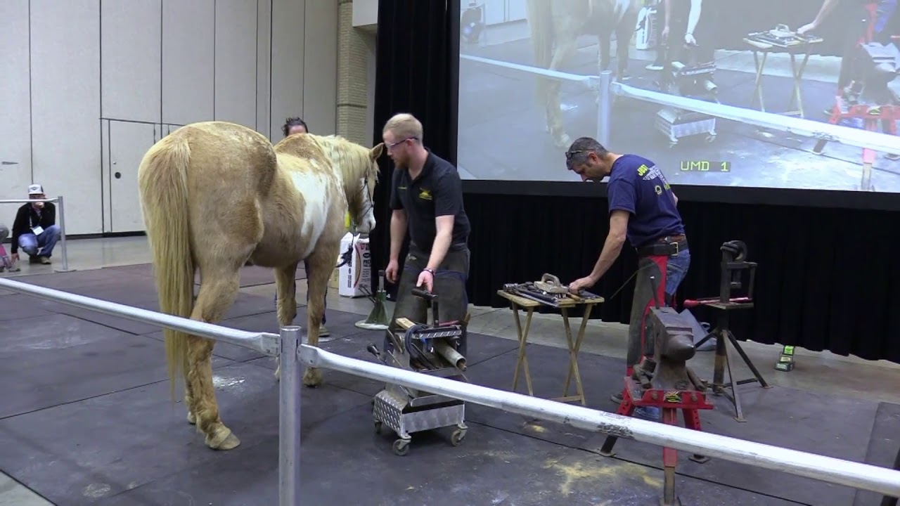 AFA 49: AFA Examiners, CF and CJF Demonstrations - YouTube