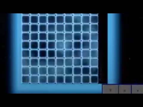 Boss Wumbo! Clutch Win From The Top - YouTube