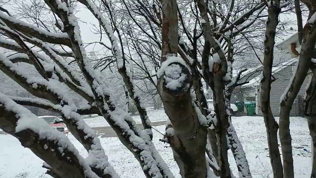 Meanwhile In Georgia... - YouTube
