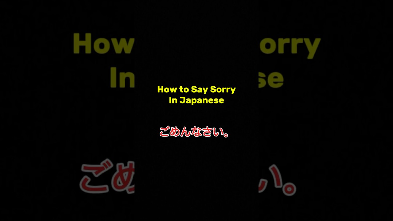 How to say Sorry in Japanese #shorts #japanese #japaneselanguage # ...
