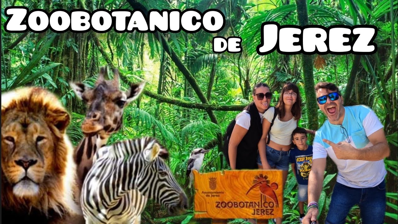 🐒ZOO DE JEREZ🦒 conocemos todos los animales - YouTube