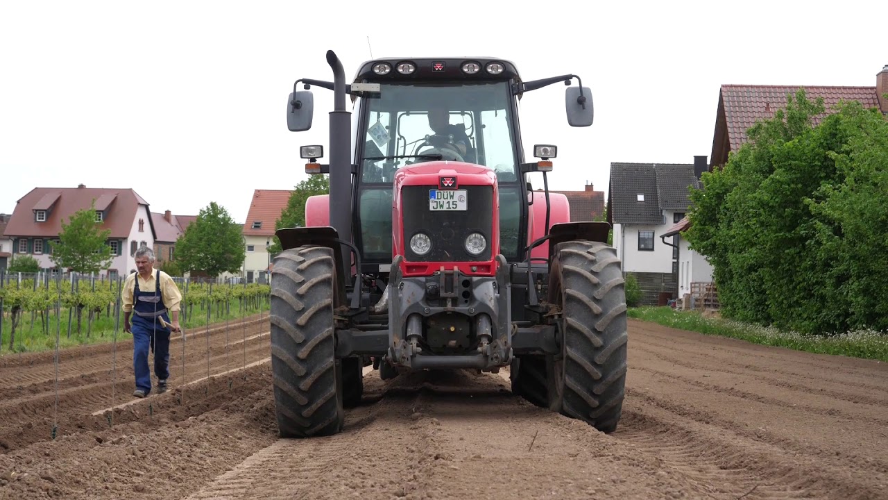 Reben setzen mit MF 6465 (Weingut Muffang) - YouTube