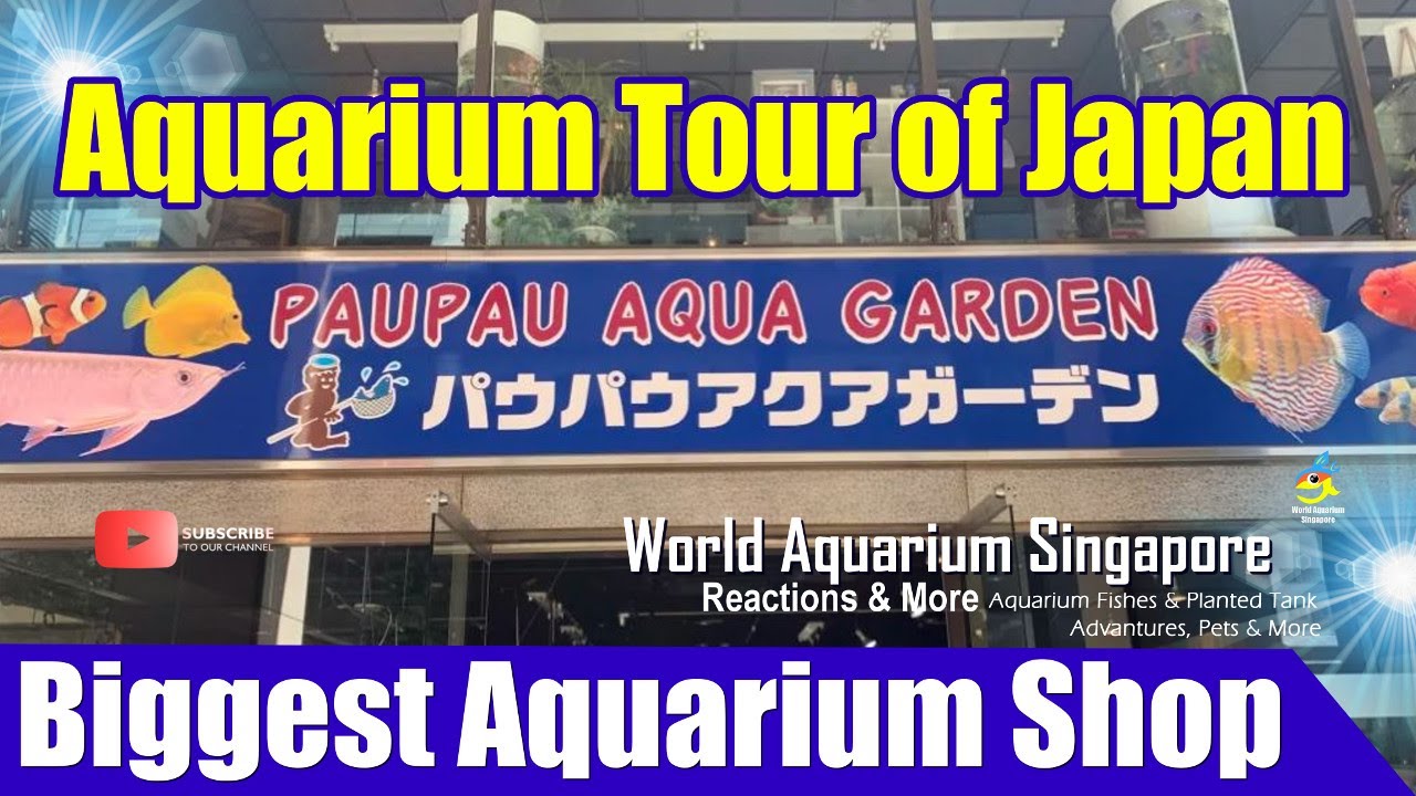 Biggest Aquarium Shop Japan - Biggest Aquarium Shop Japan Pau Pau Aqua ...