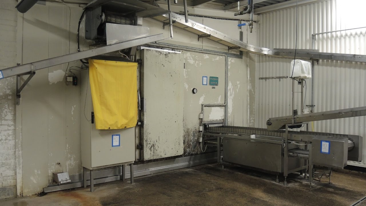 Frigoscandia Gyro Freeze spiral freezer - YouTube