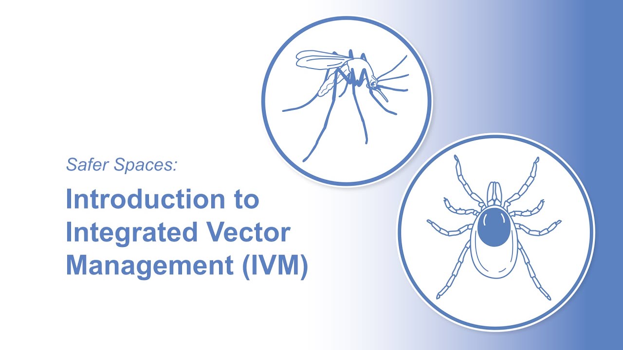 Safer Spaces: Introduction to Integrated Vector Management (IVM) - YouTube