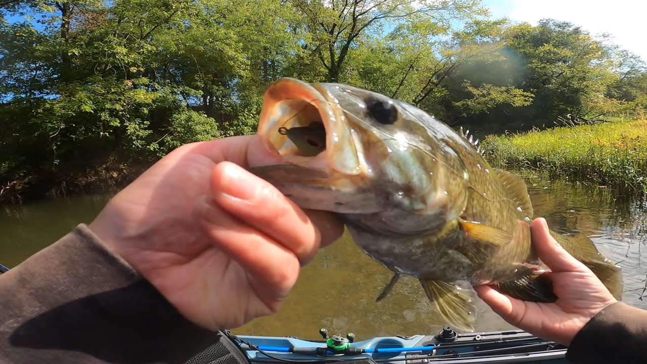 Fishing a Frog for Big Kentucky Smallmouth - YouTube
