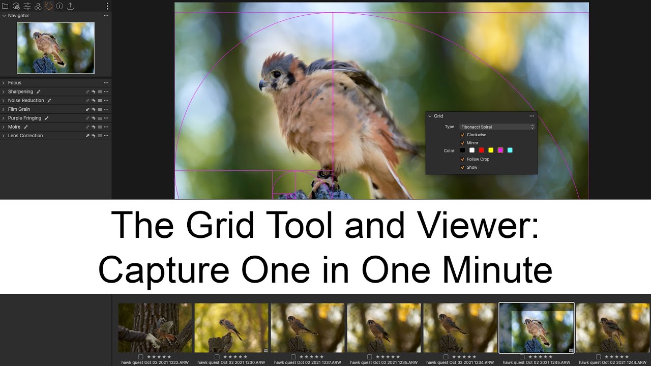 The Grid Tool and Viewer: Capture One in One Minute - YouTube