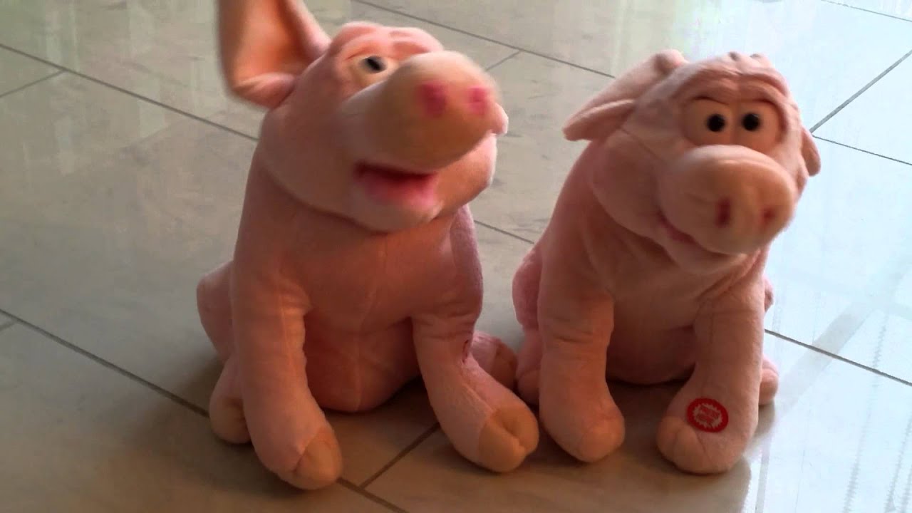 Piggys like to sing together - YouTube