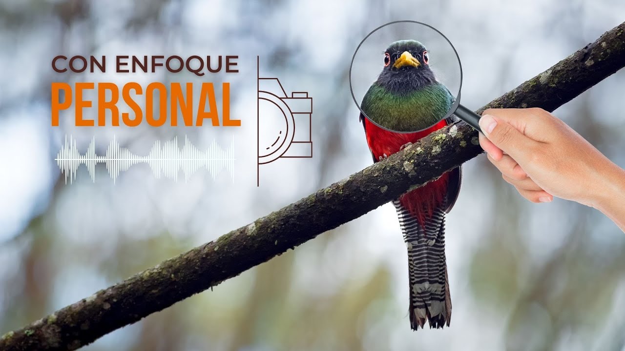 Tips para lograr fotografías más nítidas | Con Enfoque Personal ...