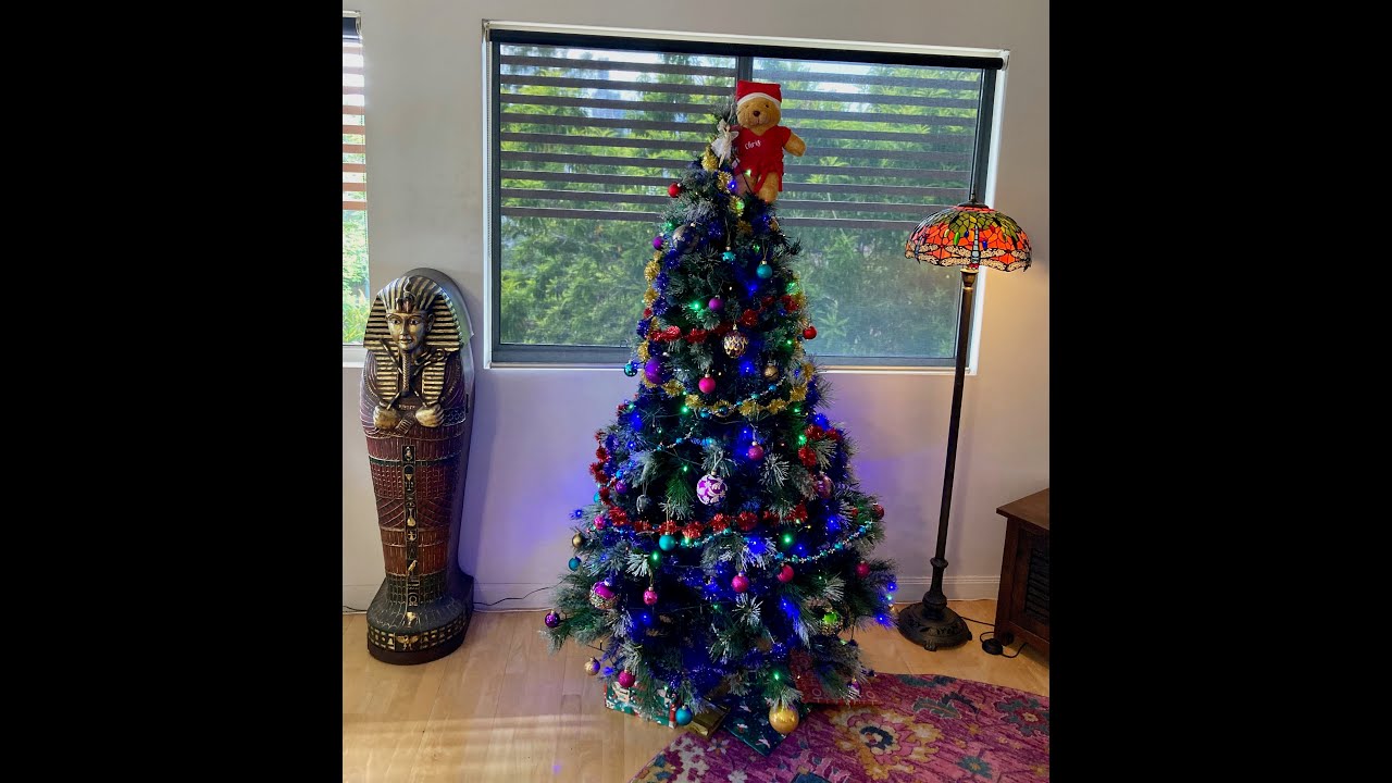 CHRIS and AMBER CHRISTMAS VIDEO FROM SHANE - YouTube