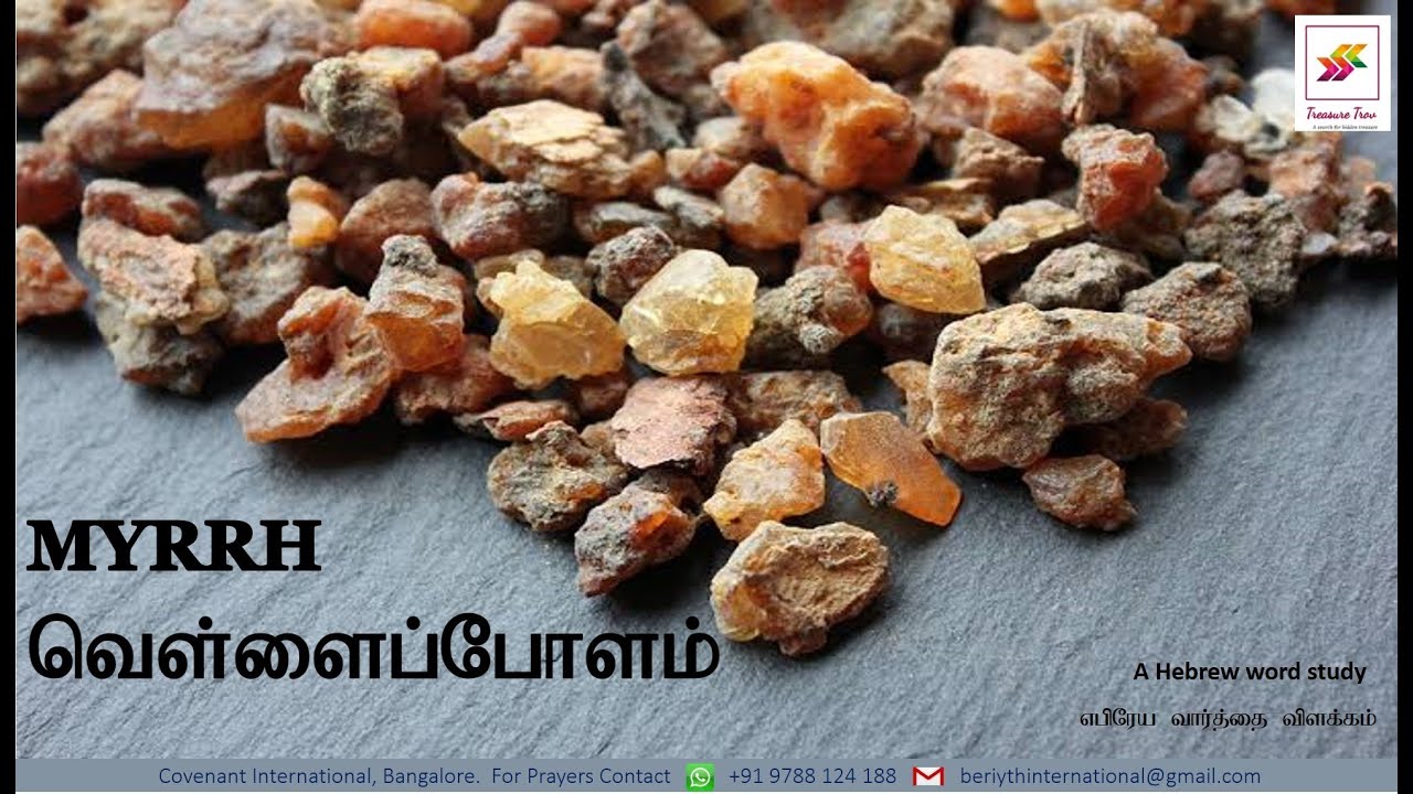 MYRRH - வெள்ளைப்போளம் - YouTube