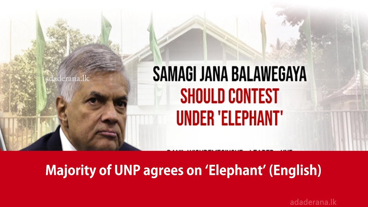 Majority of UNP agrees on ‘Elephant’ (English) - YouTube