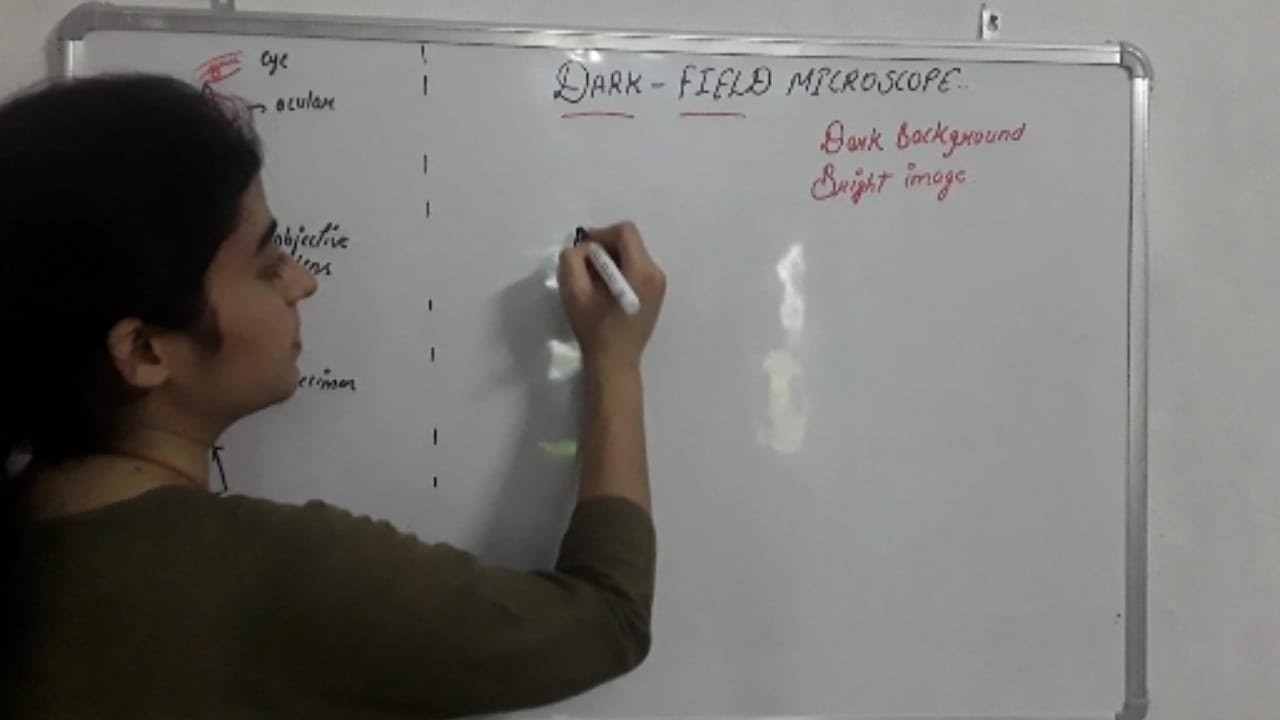 Dark field microscope/dark ground microscope with working principle ...