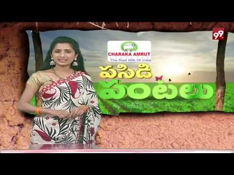 Real Milk Of India - Charaka Amruth | Charaka Dairy Pvt Ltd - YouTube